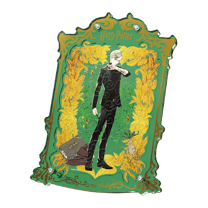 Rompecabezas Harry Potter Acrilico Draco Singular Puzzle 2D – Playmore Toys